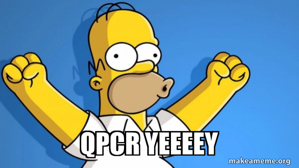 qPCR yeeeey - Happy Homer Meme Generator