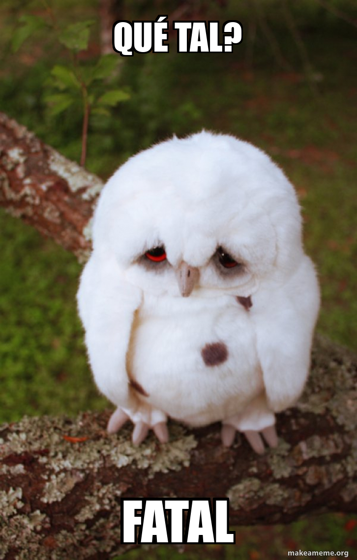 Qué tal? Fatal - Sad Owl Meme Generator
