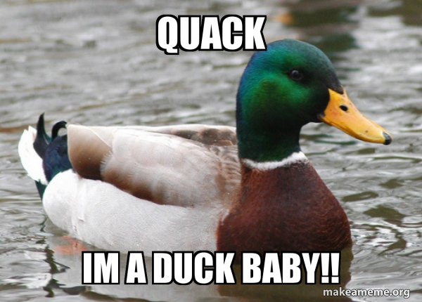 QUACK IM A DUCK BABY!! - Actual Advice Mallard Meme Generator
