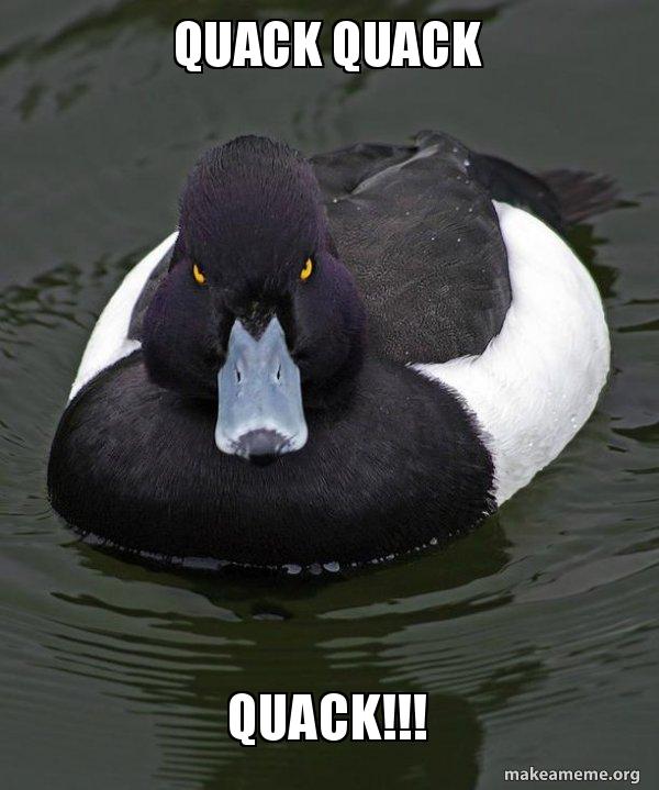 QUACK QUACK QUACK!!! - Revenge Duck ( Angry Advice Duck ) Meme Generator
