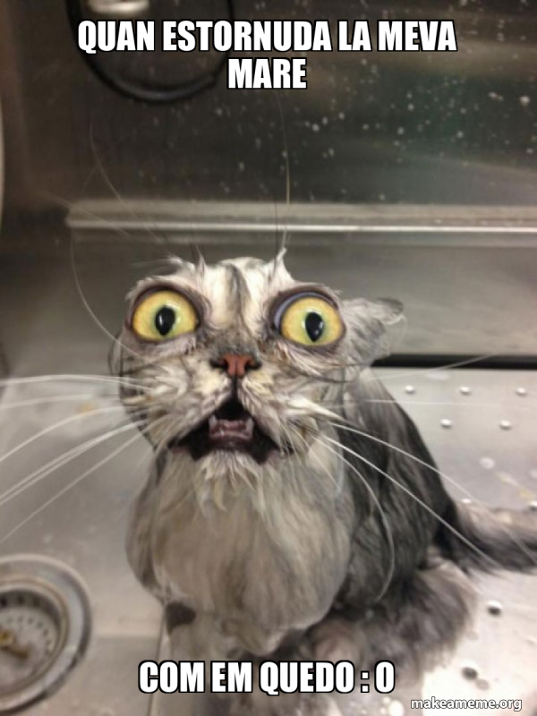 quan estornuda la meva mare com em quedo : o - Cat bath Meme Generator