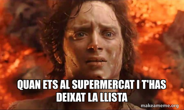 quan ets al supermercat i t'has deixat la llista - Frodo it's over it's ...