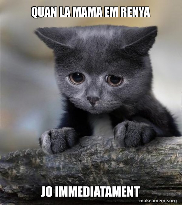 Quan la mama em renya Jo immediatament - Confession Cat Meme Generator