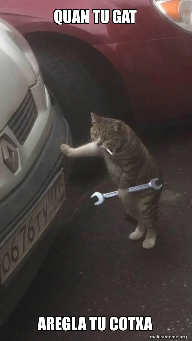 quan tu gat aregla tu cotxa - Mechanic Cat Meme Generator