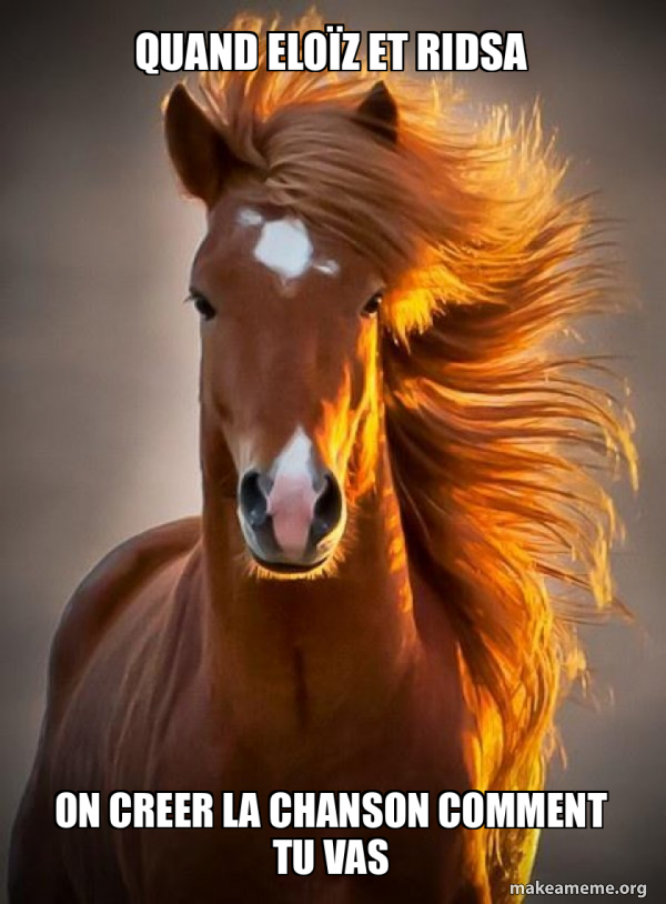 Quand Eloïz et Ridsa on creer la chanson Comment tu vas - Ridiculously ...