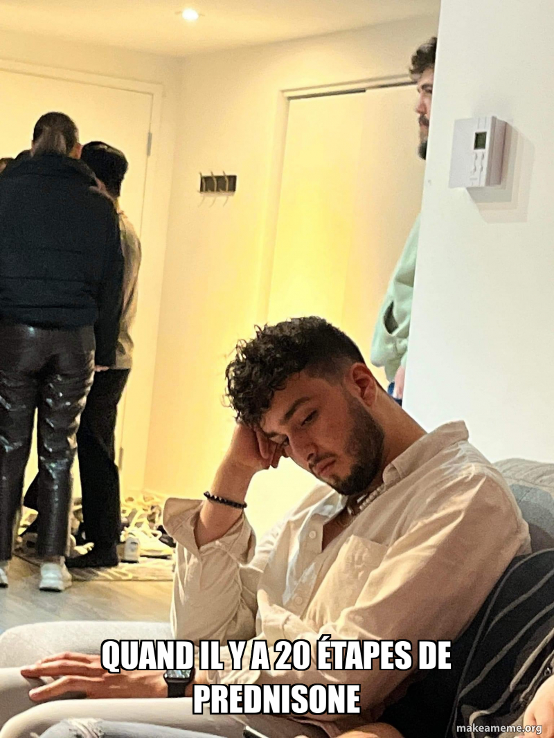 Quand il y a 20 étapes de prednisone Meme Generator