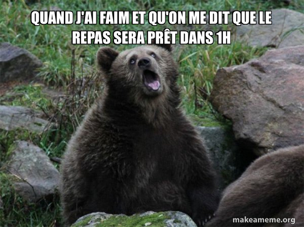 QUAND J'AI FAIM ET QU'ON ME DIT QUE LE REPAS SERA PRÊT DANS 1H ...
