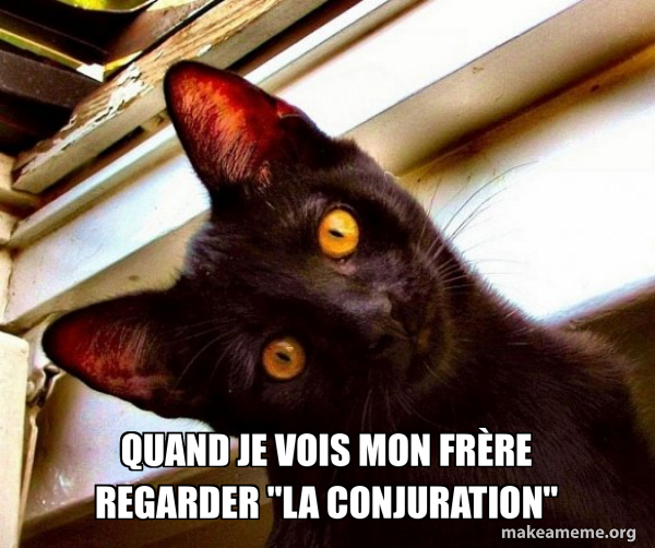 quand je vois mon frère regarder "la conjuration" - Overly Attached Cat ...