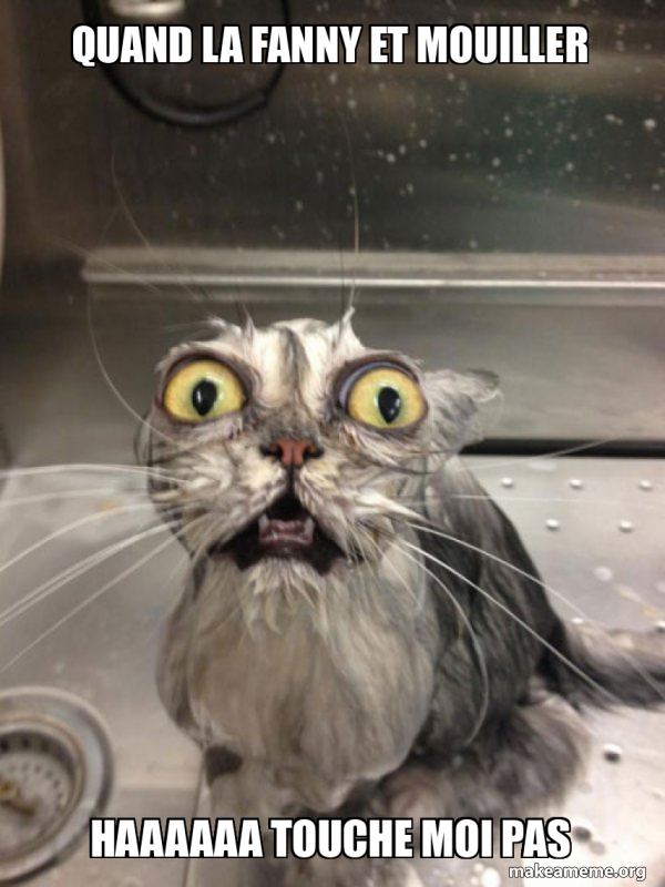 Quand la Fanny et mouiller HAAAAAA touche moi pas - Cat bath Meme Generator