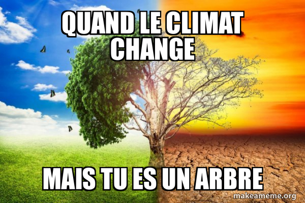 quand le climat change mais tu es un arbre - Climate Change / Global ...