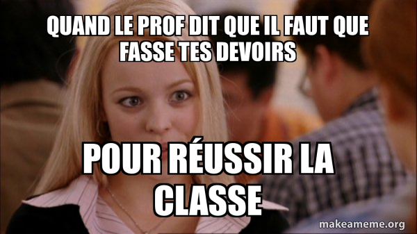 Quand le prof dit que il faut que fasse tes devoirs pour réussir la ...