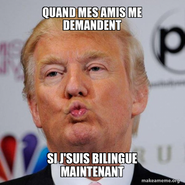 quand mes amis me demandent si j'suis bilingue maintenant - Donald ...