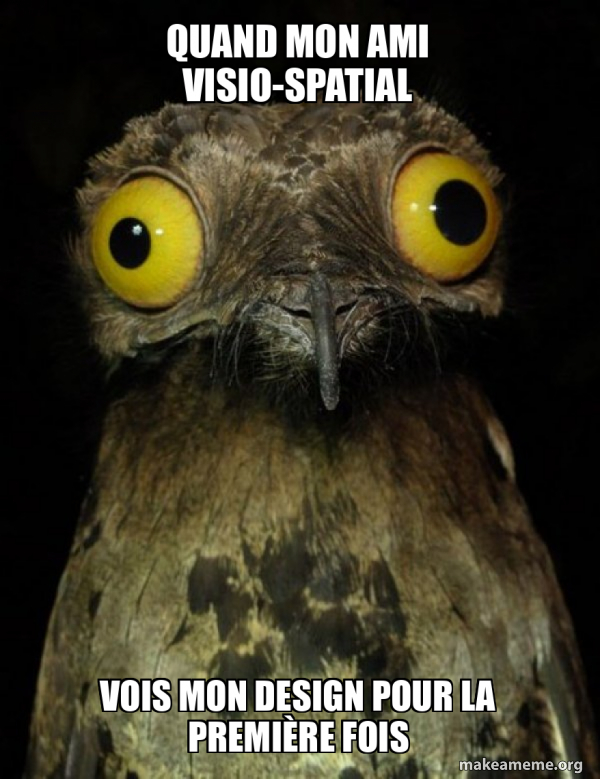 Quand mon ami Visio-spatial vois mon design pour la première fois ...