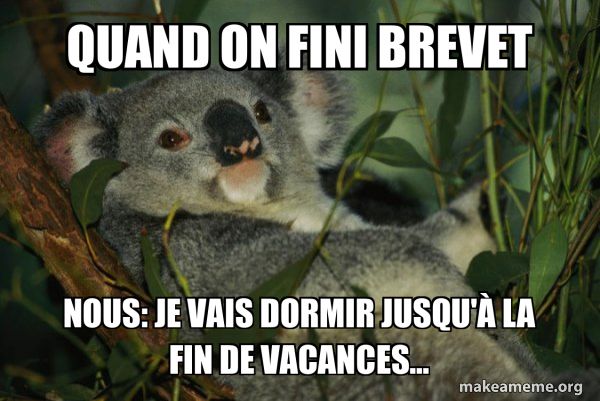 Quand on fini Brevet Nous: Je vais dormir jusqu'à la fin de vacances ...