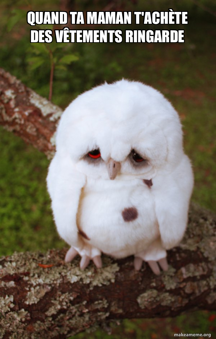 quand ta maman t'achète des vêtements ringarde - Sad Owl Meme Generator