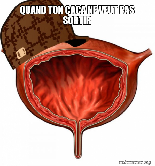 quand ton caca ne veut pas sortir - Scumbag Bladder Meme Generator