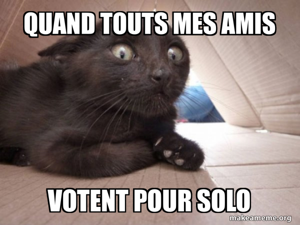 Quand touts mes amis votent pour solo - Schitzo Cat Meme Generator