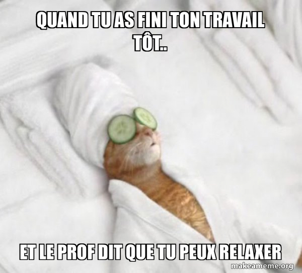 Quand tu as fini ton travail tôt.. et le prof dit que tu peux relaxer ...