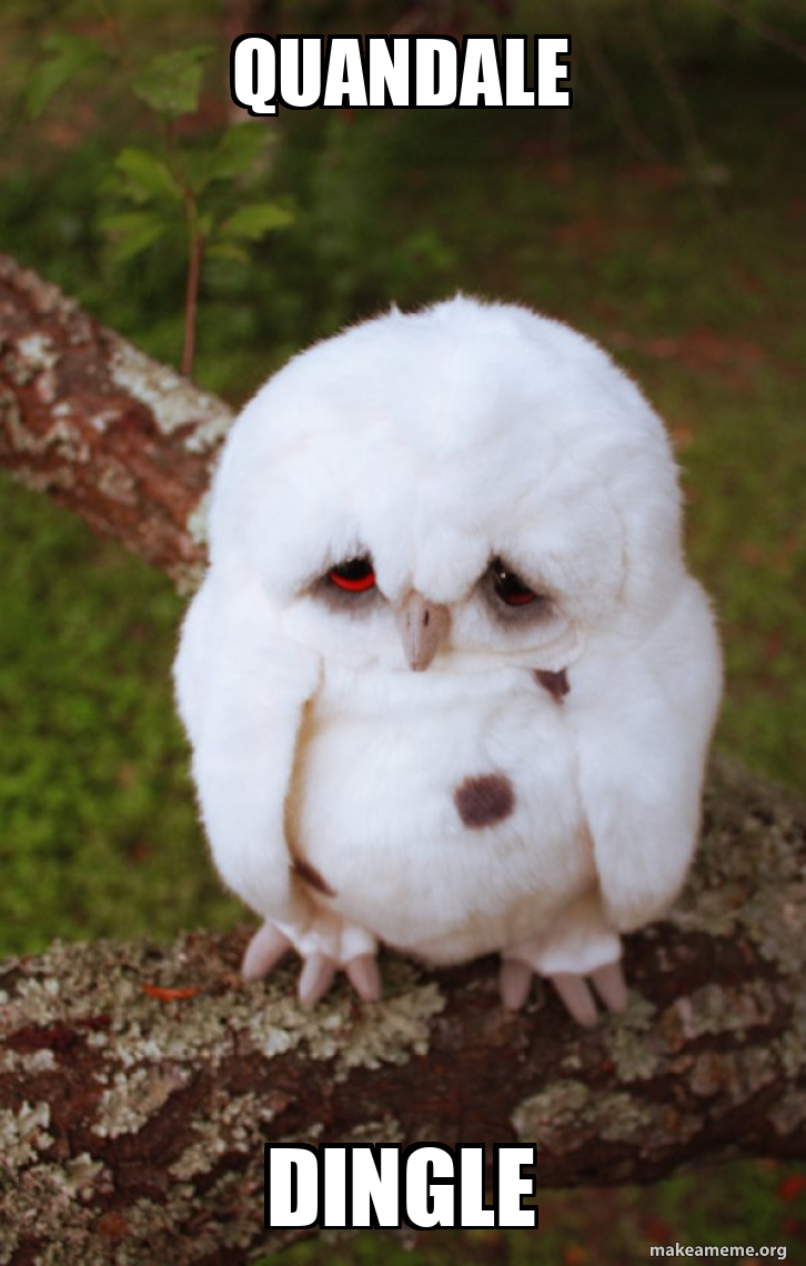 Quandale Dingle - Sad Owl Meme Generator