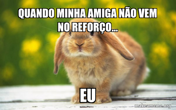 QUANDO MINHA AMIGA NÃO VEM NO REFORÇO... eu - Regretful Rabbit Meme ...