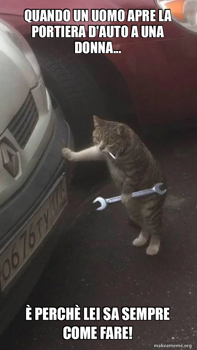 Quando un uomo apre la portiera d'auto a una donna... è perchè lei sa ...