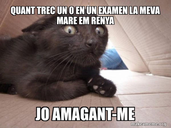 Quant trec un 0 en un examen la meva mare em renya Jo amagant-me ...