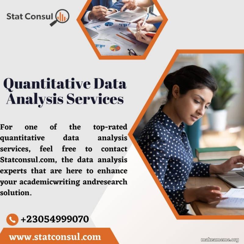 - Quantitative data analysis services Meme Generator