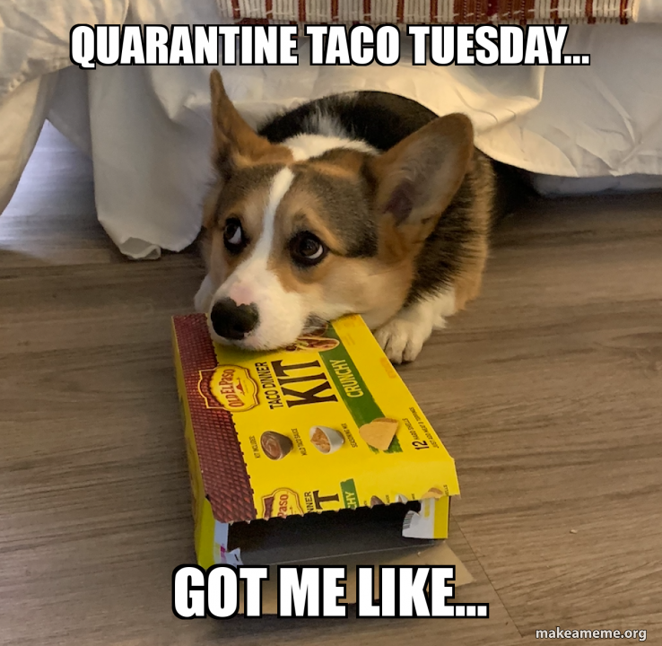 quarantine taco tuesday... got me like... Meme Generator