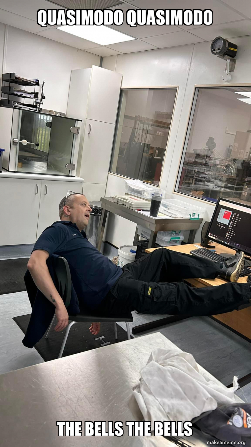 Quasimodo quasimodo The bells the bells Meme Generator