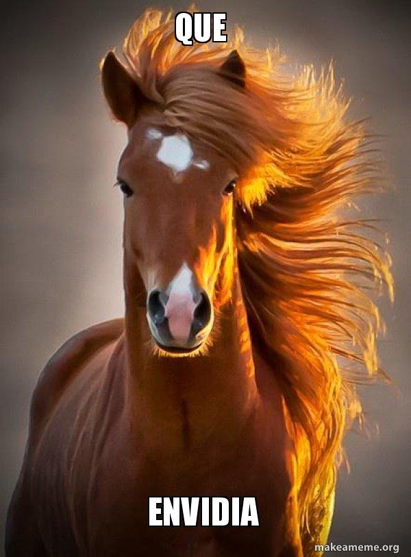 que envidia - Ridiculously photogenic horse Meme Generator