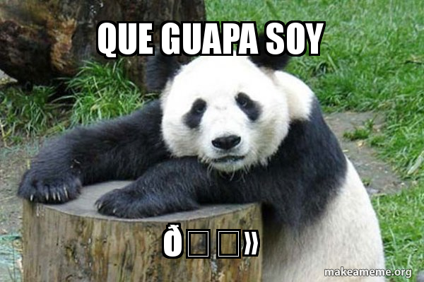Que guapa soy ðŸ˜» - Confession Panda Meme Generator