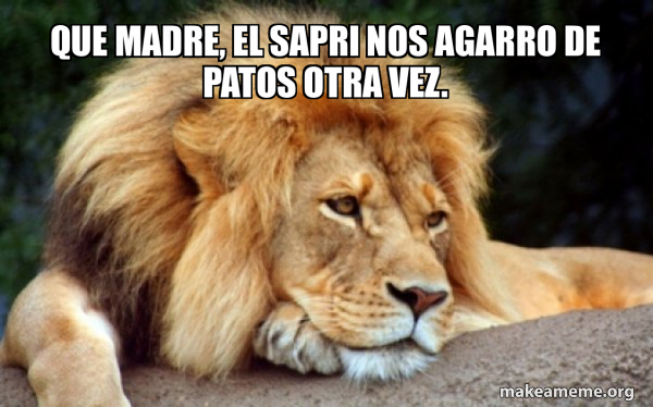 Que madre, el Sapri nos agarro de patos otra vez. - Confession Lion ...