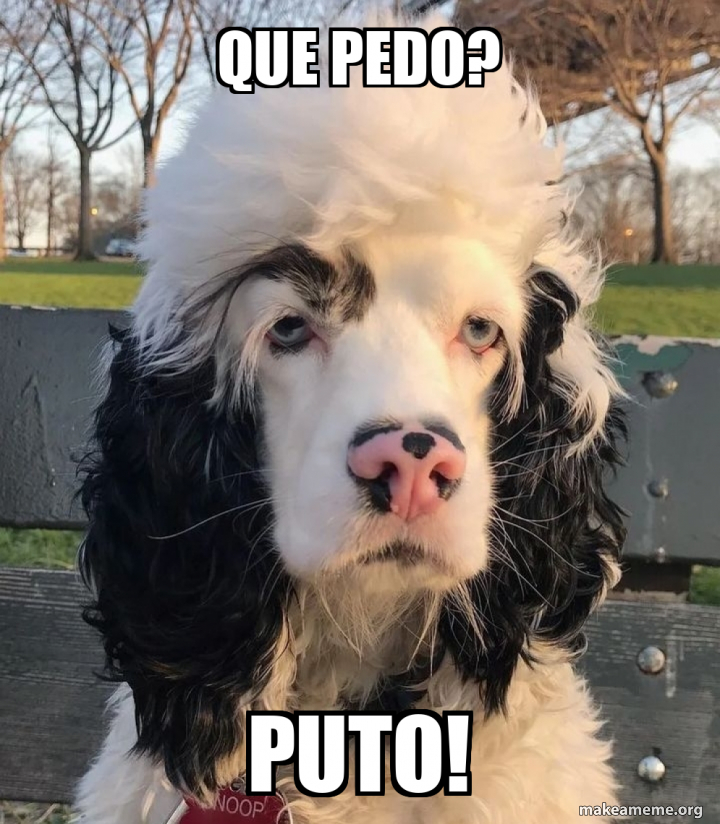 Que PEDO? PUTO! Meme Generator