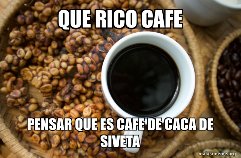 que rico cafe pensar que es cafe de caca de siveta Meme Generator