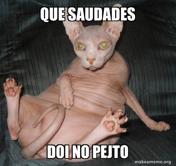 que saudades doi no pejto - Hairless Cat Meme Generator