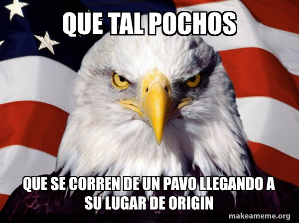 Que tal pochos que se corren de un pavo llegando a su lugar de origin ...