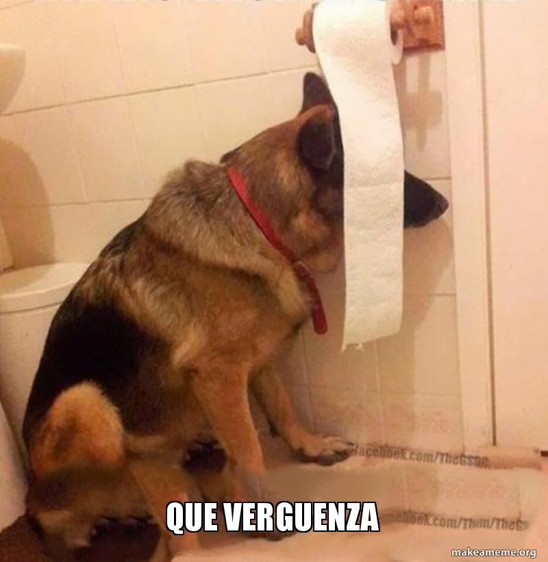Que Verguenza Meme Generator