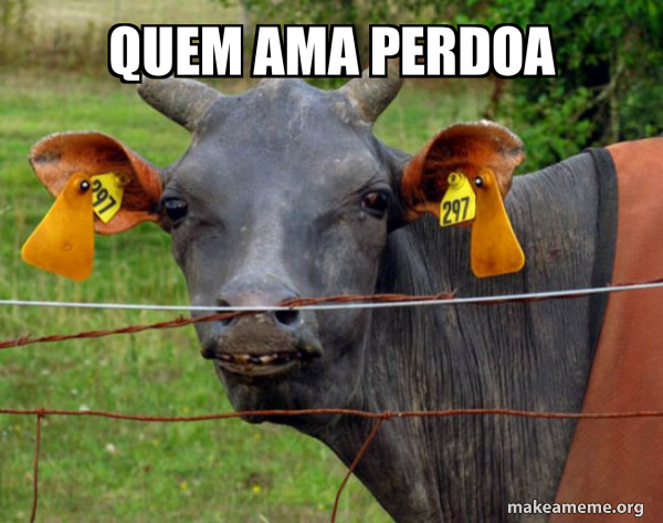 quem ama perdoa - Hairless Cow Meme Generator