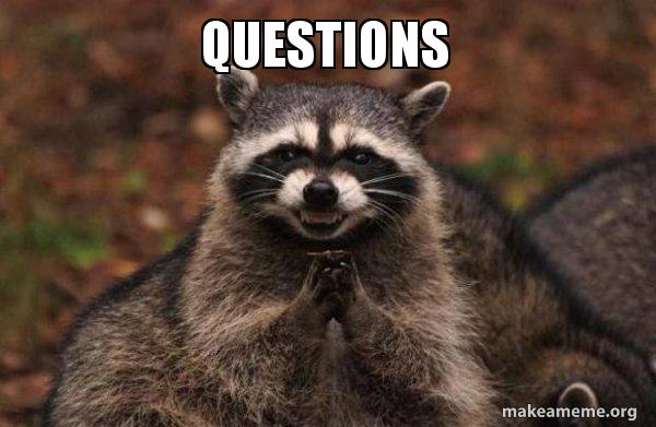 QUESTIONS - Evil Plotting Raccoon Meme Generator