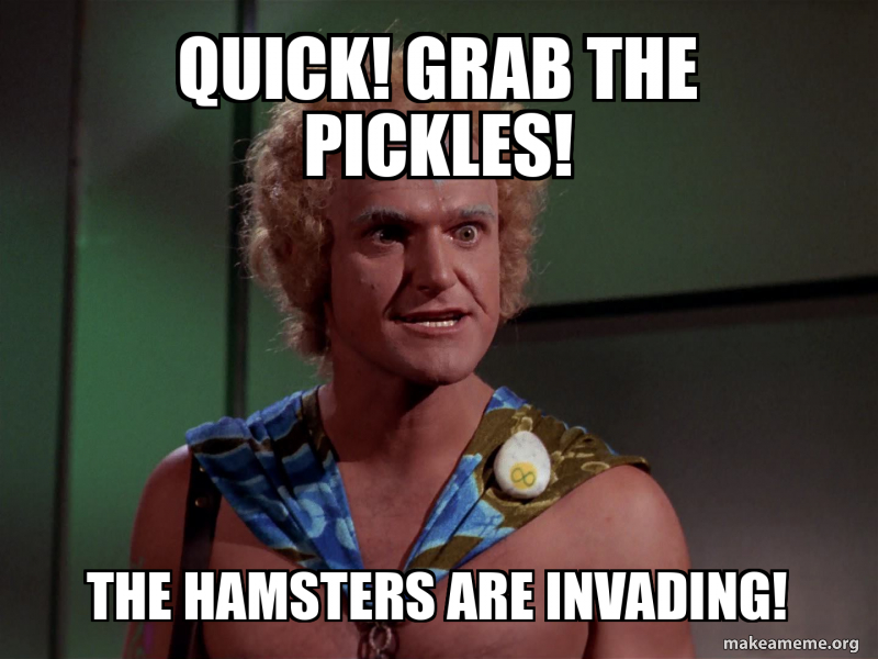 Quick! grab the pickles! the hamsters are invading! Meme Generator
