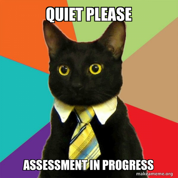 Quiet Please Assessment in Progress - Business Cat Meme Generator