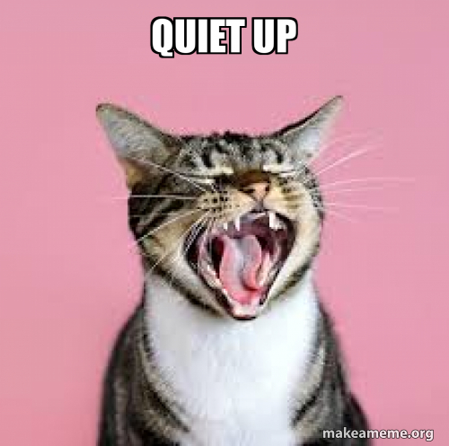 quiet up Meme Generator