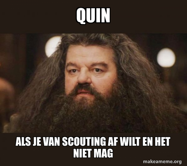 Quin als je van scouting af wilt en het niet mag - Hagrid - I should ...