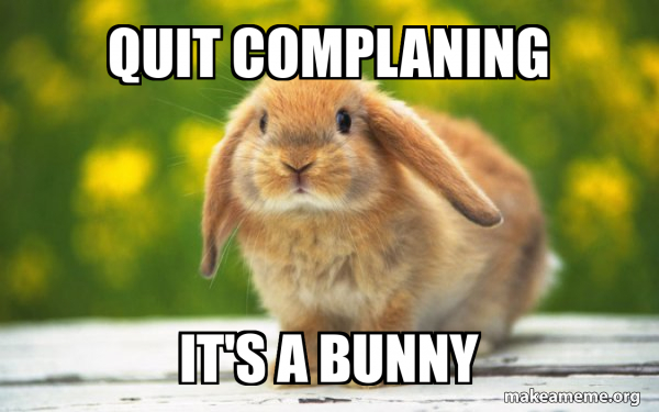 Quit complaning IT'S A BUNNY - Regretful Rabbit Meme Generator