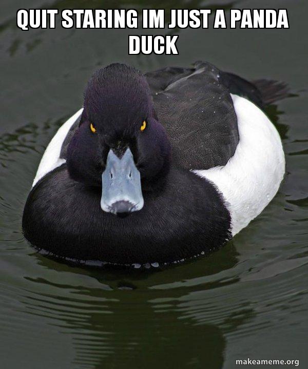 quit staring im just a panda duck - Revenge Duck ( Angry Advice Duck ...