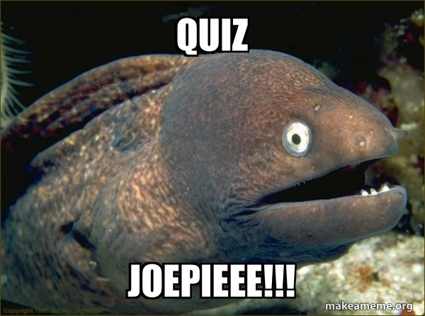 Quiz joepieee!!! - Bad Joke Eel Meme Generator