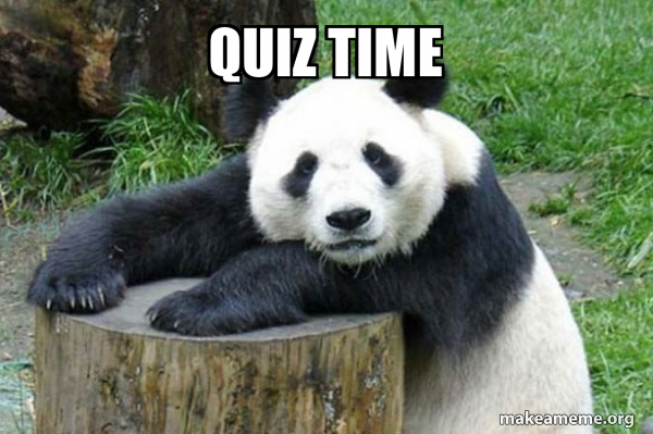 Quiz Time - Confession Panda Meme Generator