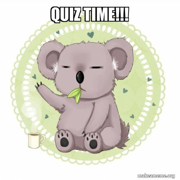 Quiz time!!! - Aussie Koala doing the night shift Meme Generator