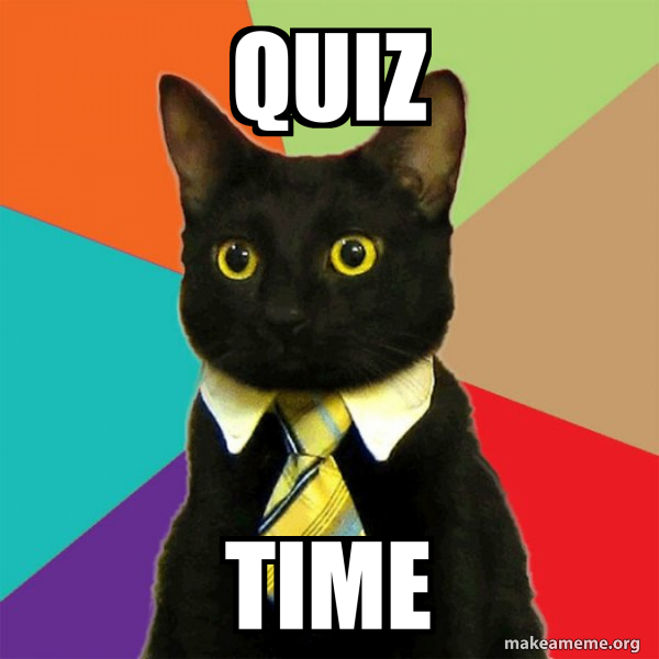 QUIZ TIME - Business Cat Meme Generator