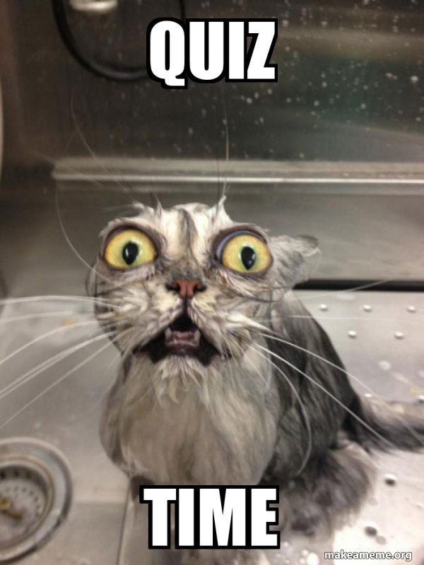 QUIZ time - Cat bath Meme Generator